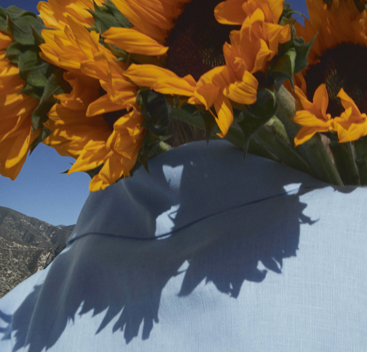 Foundation – Sleeper